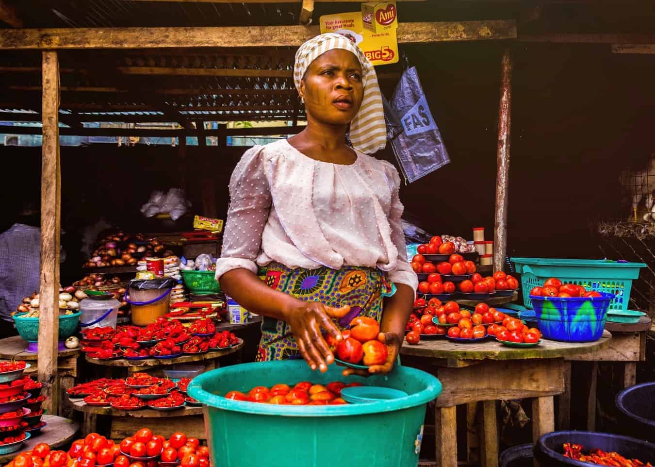 Informal Food Markets What It Takes To Make Them Safer